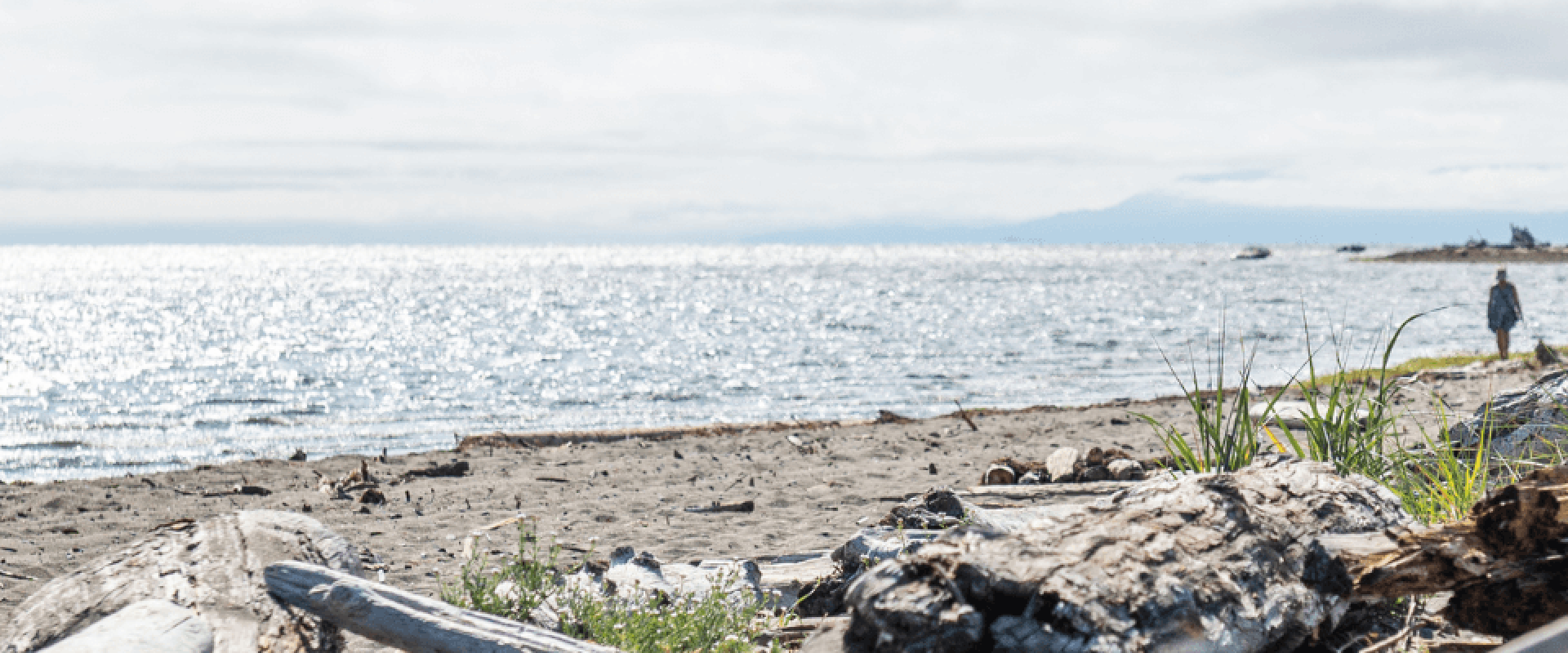 Investment Planning | Contact CI Assante Wealth Management